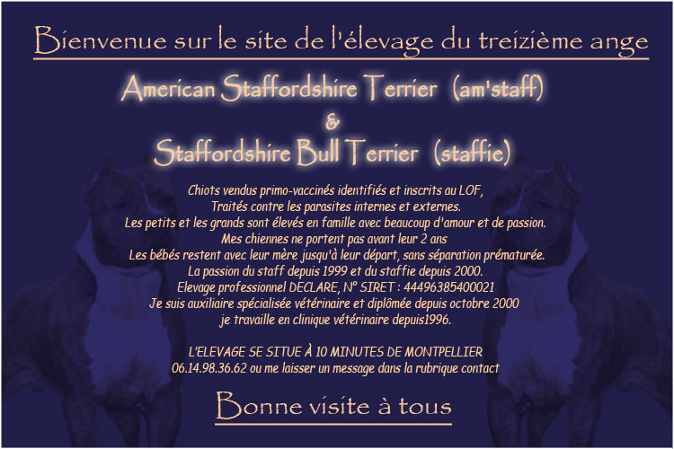 elevage du treizieme ange